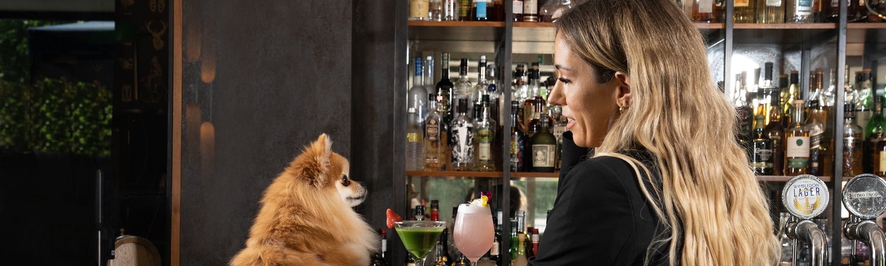 Dog Friendly Bar